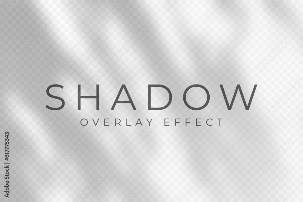 Shadow overlay effect. Transparent soft light and shadows from plant ...