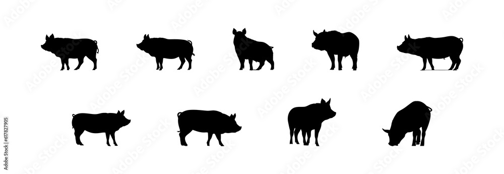 Black silhouette pig set flat cartoon isolated on white background ...
