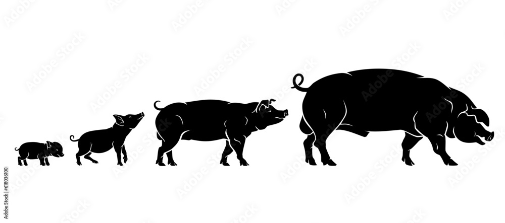 Pig Growing Silhouette Stages, Farm Animals Set Stock Vector | Adobe Stock