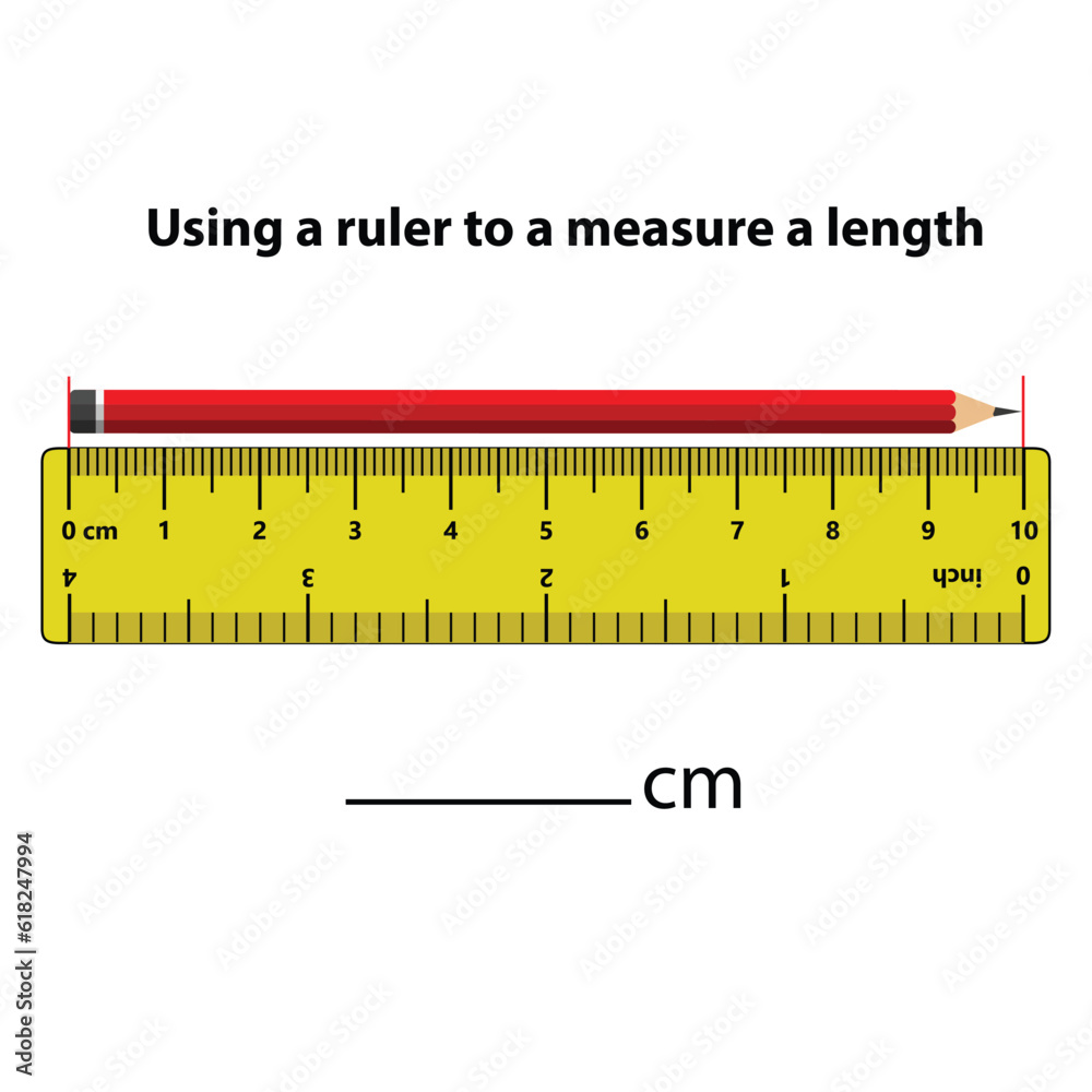 Measuring length in centimeters with the ruler. Education developing ...