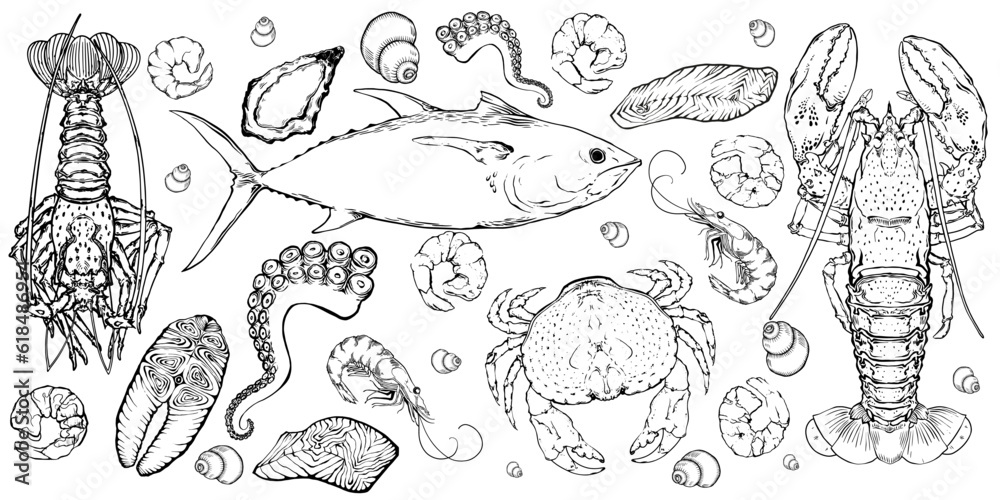 Vector hand drawn seafood set collection. Lobster, salmon, crab, shrimp ...