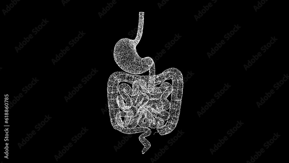 3D stomach and intestines on black bg. The human digestive system ...
