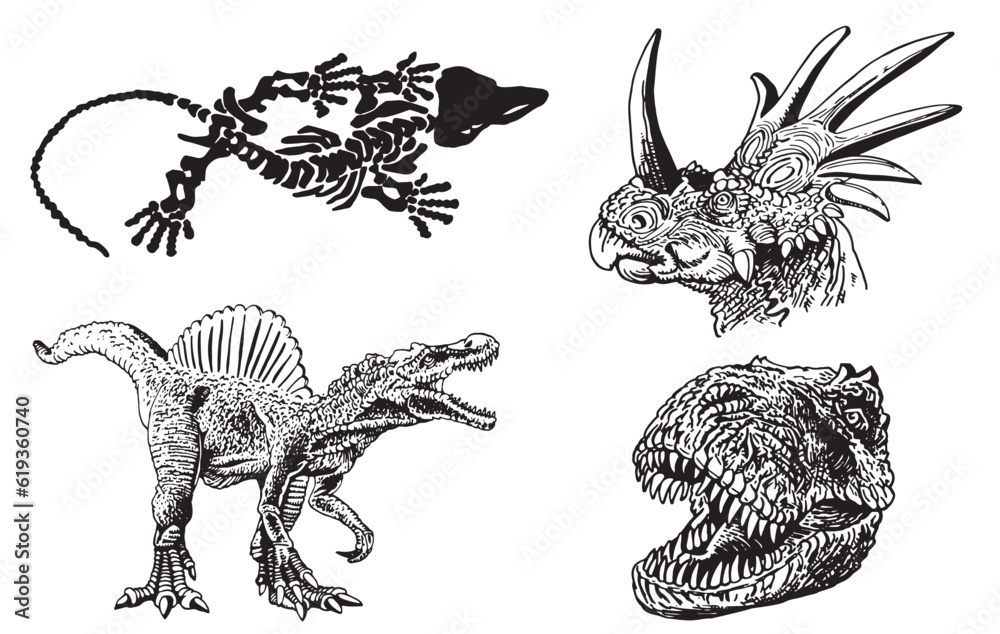 Graphical set of dinosaurs isolated on white background,vector ...