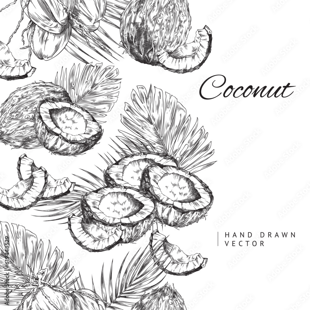 Coconuts border seamless vertical design, engraving vector illustration ...