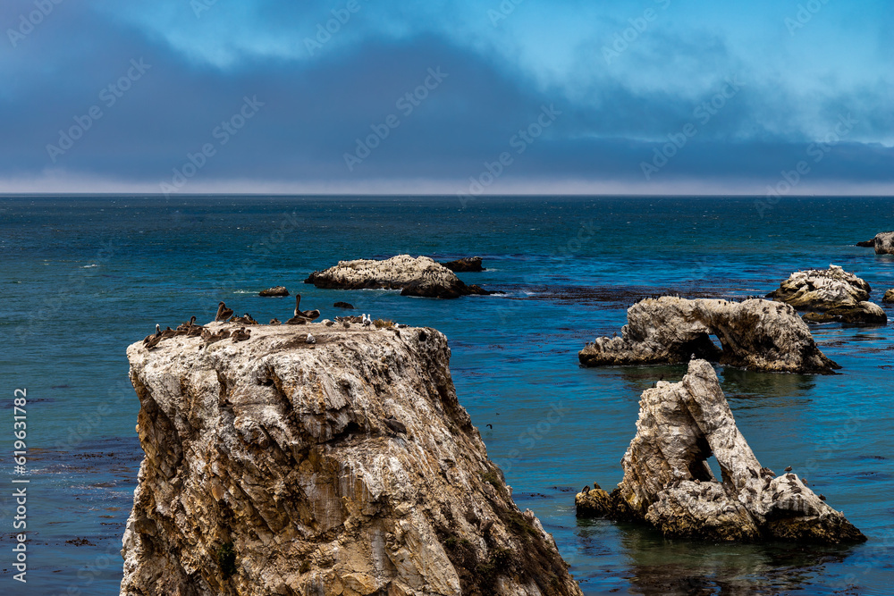 Foto de Stock Sea Stack Bird Sanctuary. Birds take sanctuary on the sea ...