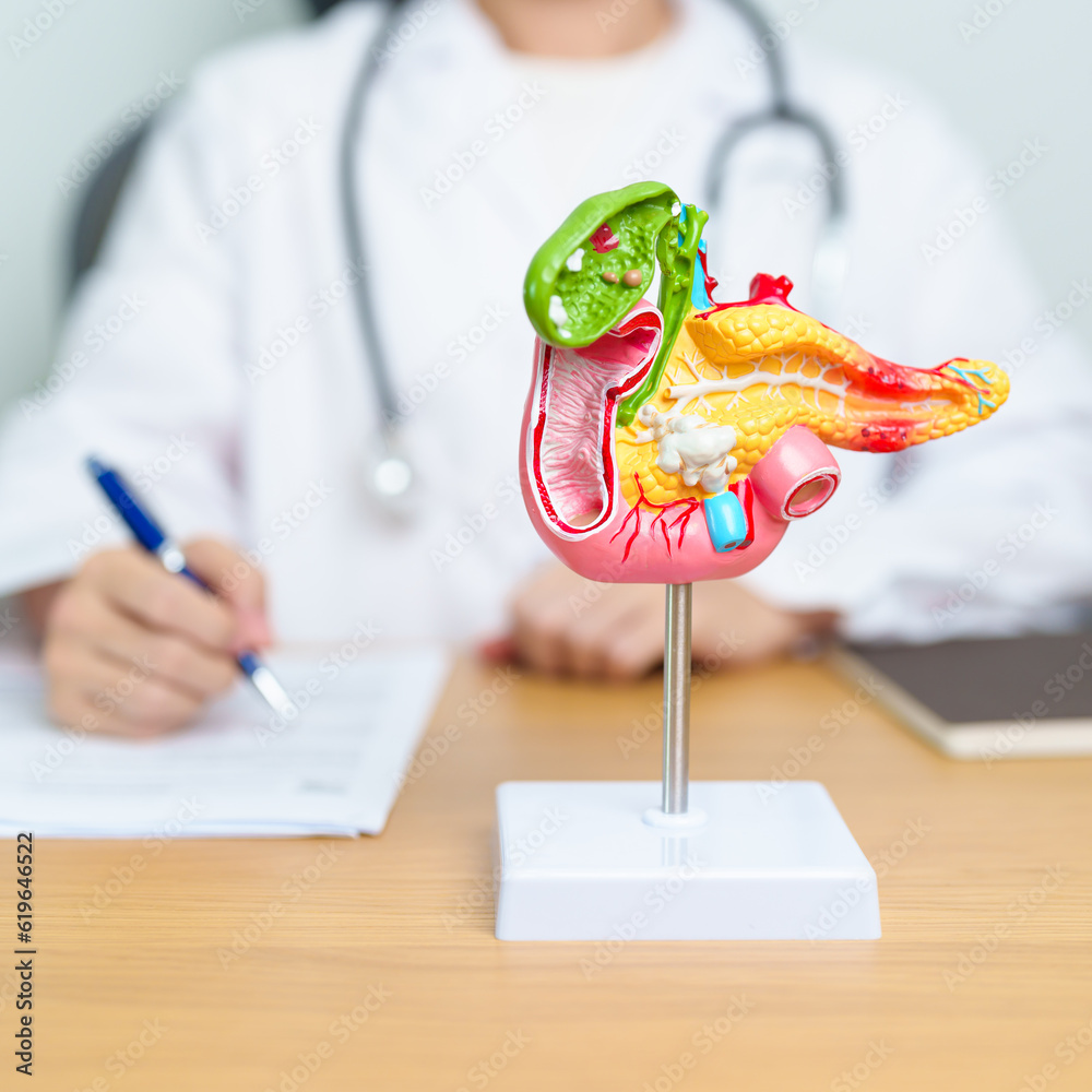 Doctor with human Pancreatitis anatomy model with Pancreas, Gallbladder ...