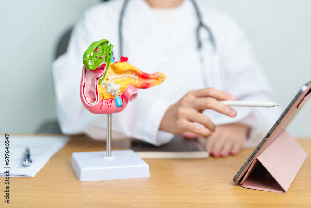Doctor with human Pancreatitis anatomy model with Pancreas, Gallbladder ...
