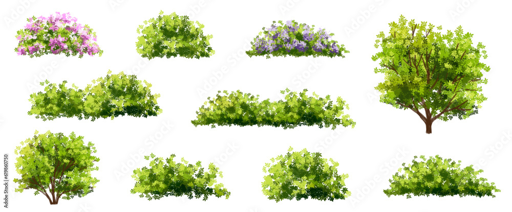 Vector watercolor blooming flower tree side view isolated for landscape ...
