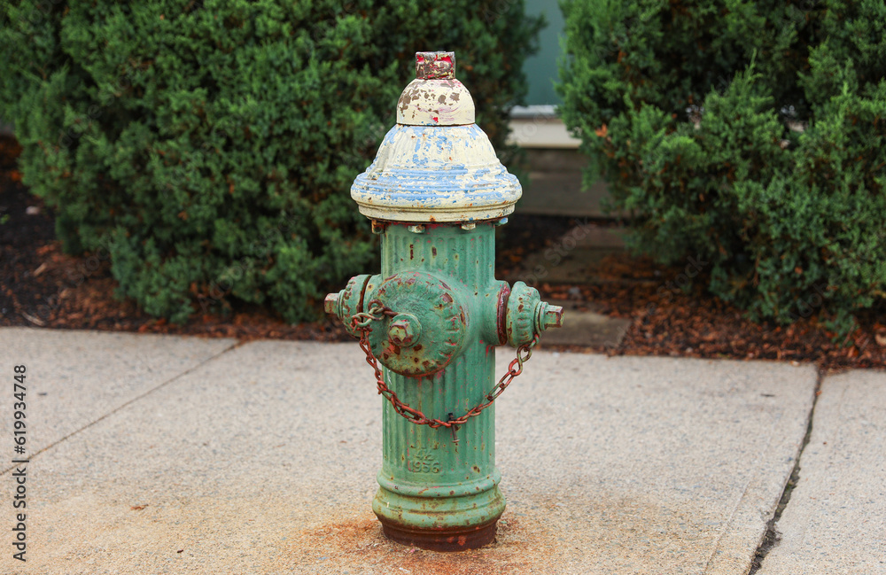 fire hydrant stands as a symbol of safety and preparedness ...
