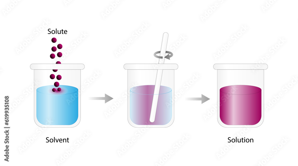 Vector de Stock Solutions. Solubility homogeneous mixture. Solute ...