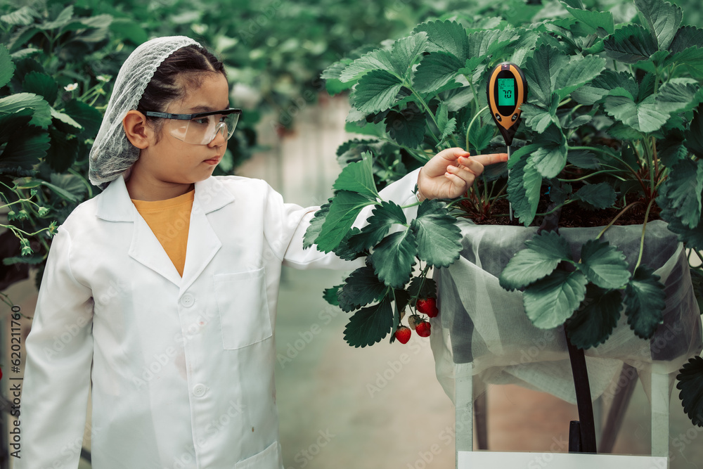 Junior scientist learn to use soil survey instrument. Measuring soil ...