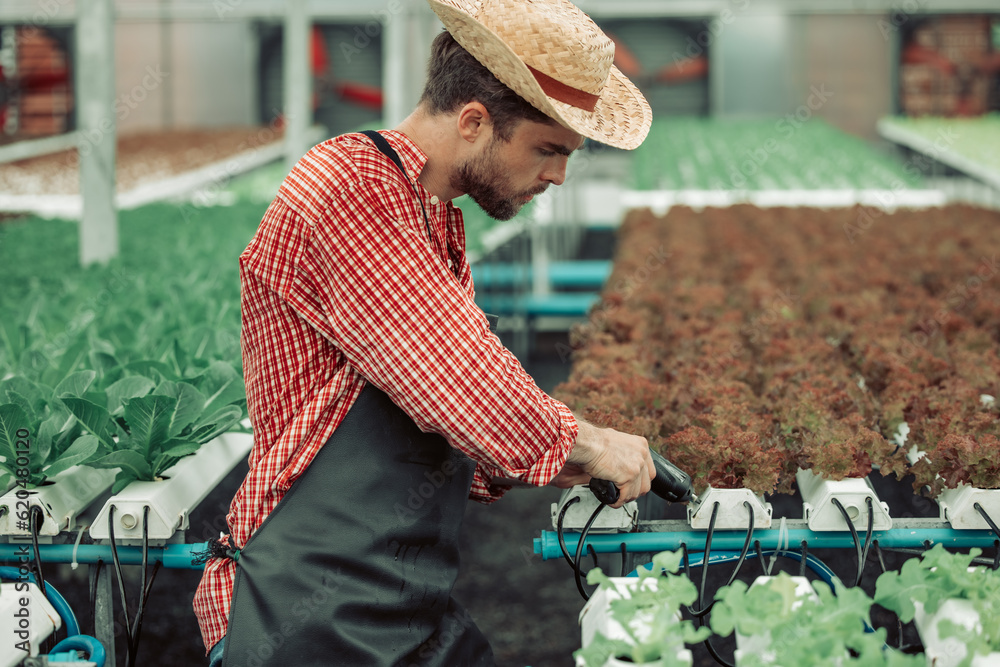 The hydroponic farm owner conducts technical inspection using handy ...