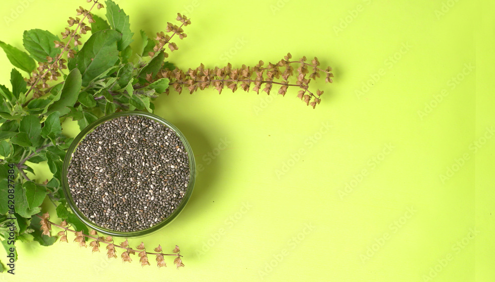 Holy basil, tulasi or tulsi, is an aromatic perennial plant in the ...
