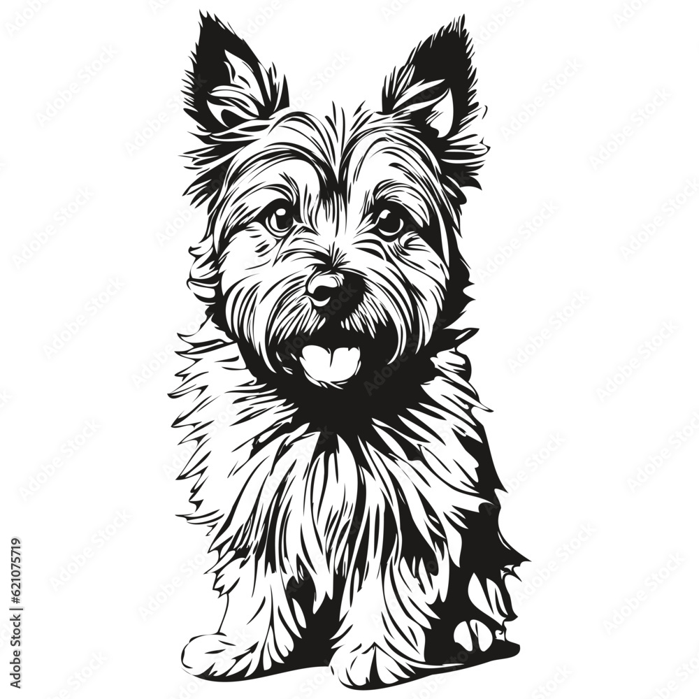 Cairn Terrier dog head line drawing vector,hand drawn illustration with ...