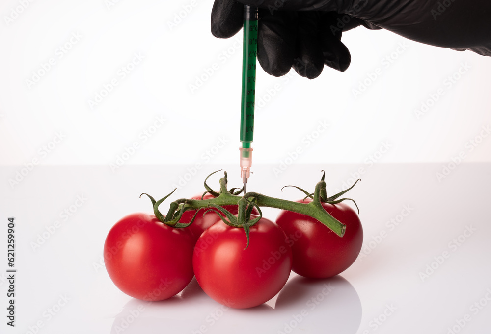 Stock-Foto „GMO scientists inject green liquid from a syringe into a ...