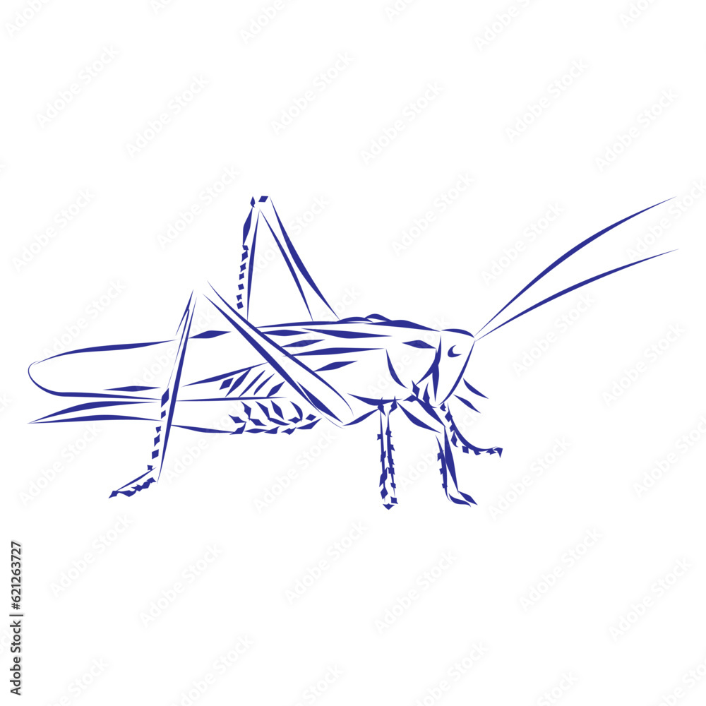 Continuous line drawing of a cricket insect and nature simbol. Hand ...