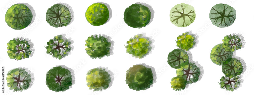 Vector watercolor of blooming tree top view isolated on white ...