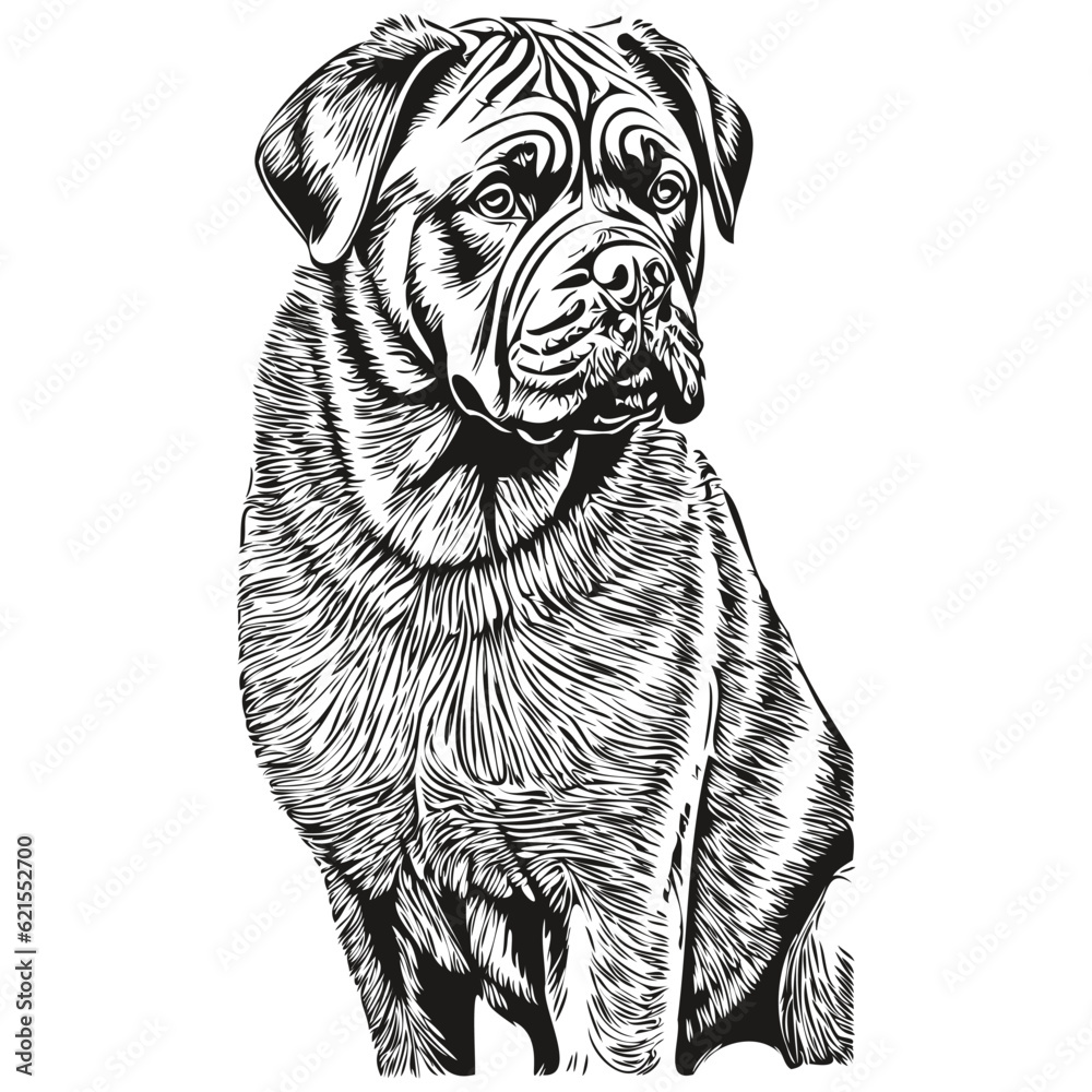 Neapolitan Mastiff dog pet silhouette, animal line illustration hand ...