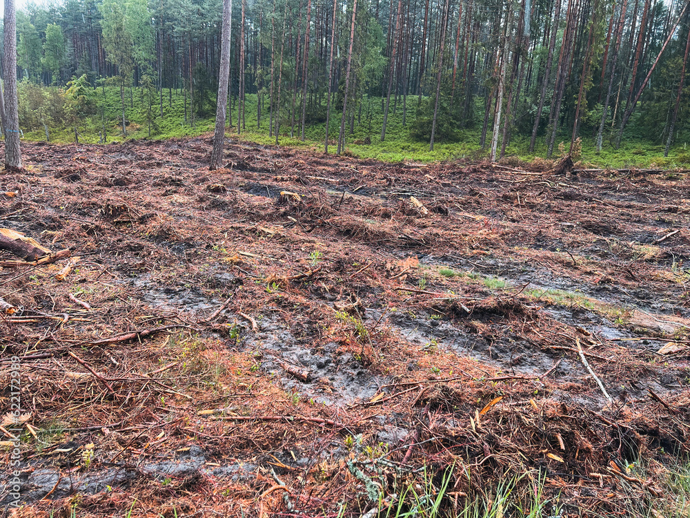 Deforestation is a threat to the environment and sustainability. The ...