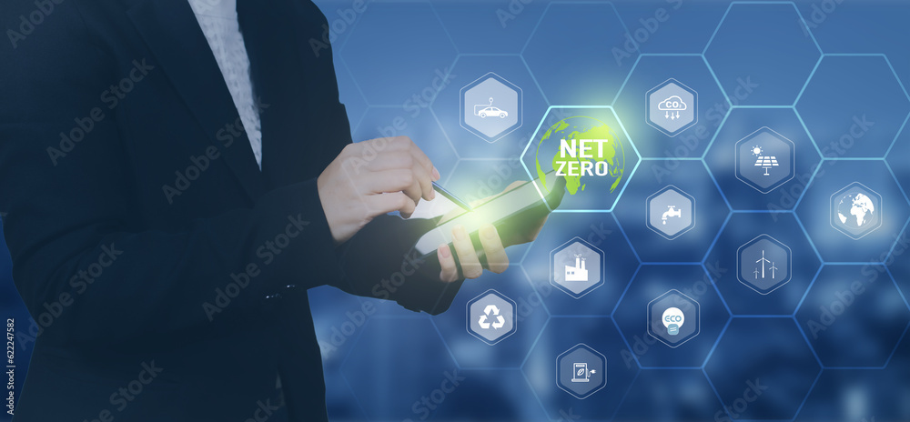 Net Zero and Carbon Neutral Concepts Net Zero Emissions Goals With a ...