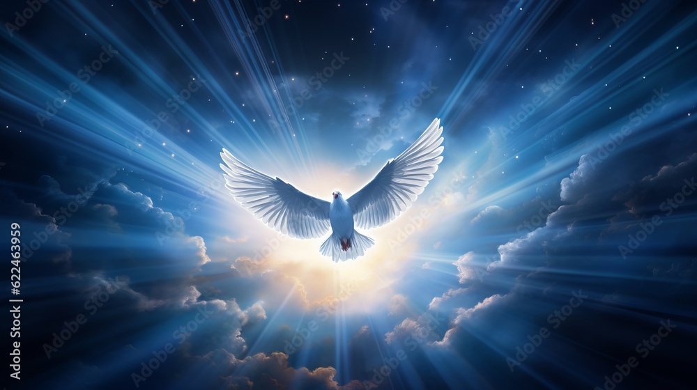 The Holy Spirit Dove Representation Stock Illustration Adobe Stock