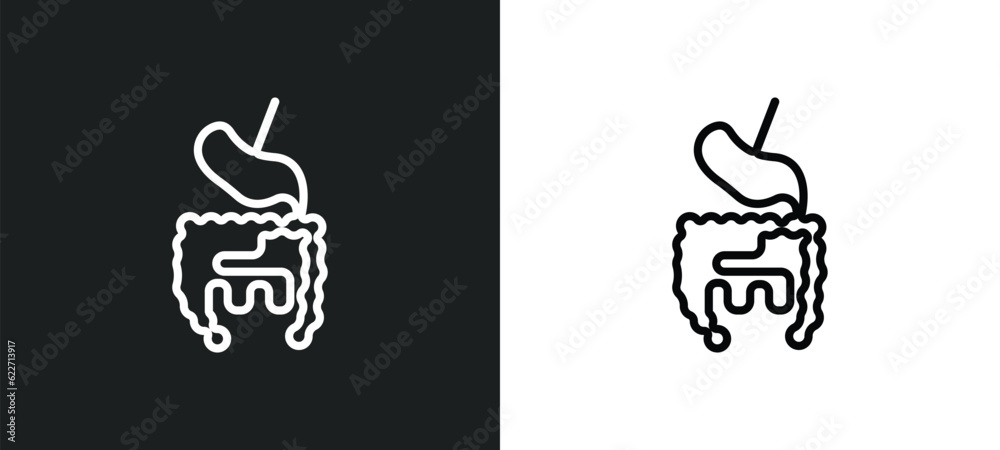 digestive system outline icon in white and black colors. digestive ...