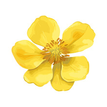 Watercolor Yellow Spring Flower Art Free Stock Photo - Public Domain ...