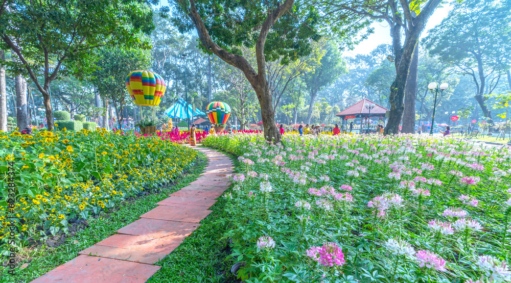 Garden flowers ecology in Tao Dan park with Cleome spinosa flower field ...