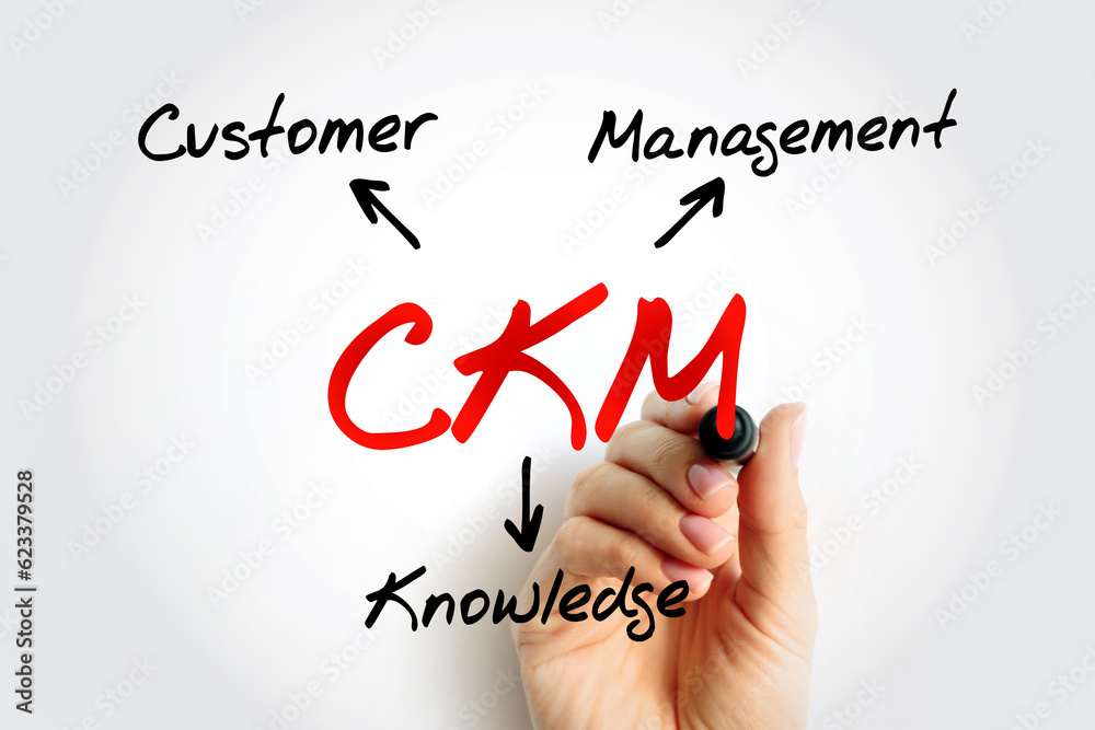 CKM Customer Knowledge Management - emerges as a crucial element for ...