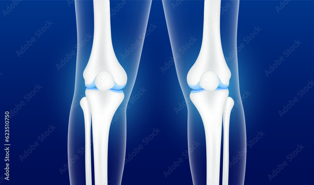 Healthy bone joint knee and cartilage. Human bone leg anatomy on a dark ...