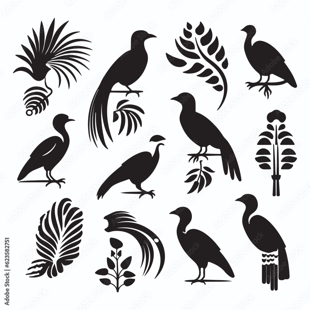 Quetzal silhouettes and icons. Black flat color simple elegant Quetzal ...