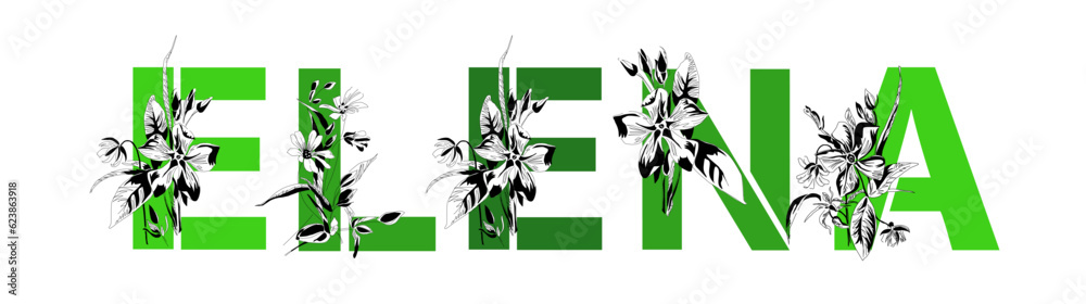 Woman's name Elena. Font composition named ELENA. Decorative floral ...