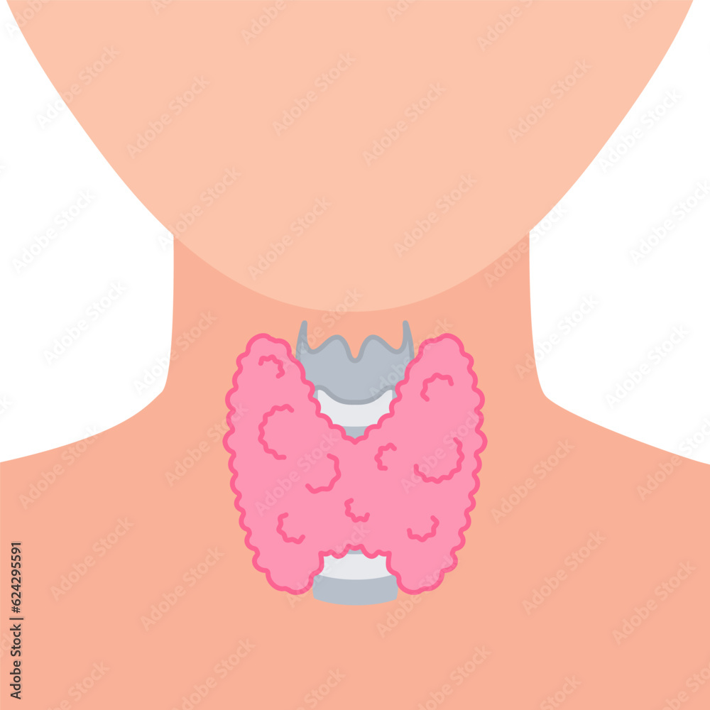 Thyroid gland lobes icon. Faceless body silhouette. Thyroid hormones ...