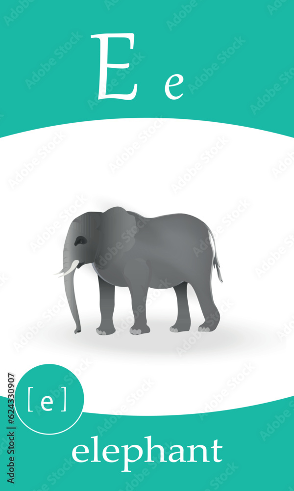 English alphabet flash card. Letter E study - elephant. Kids ABC cards ...