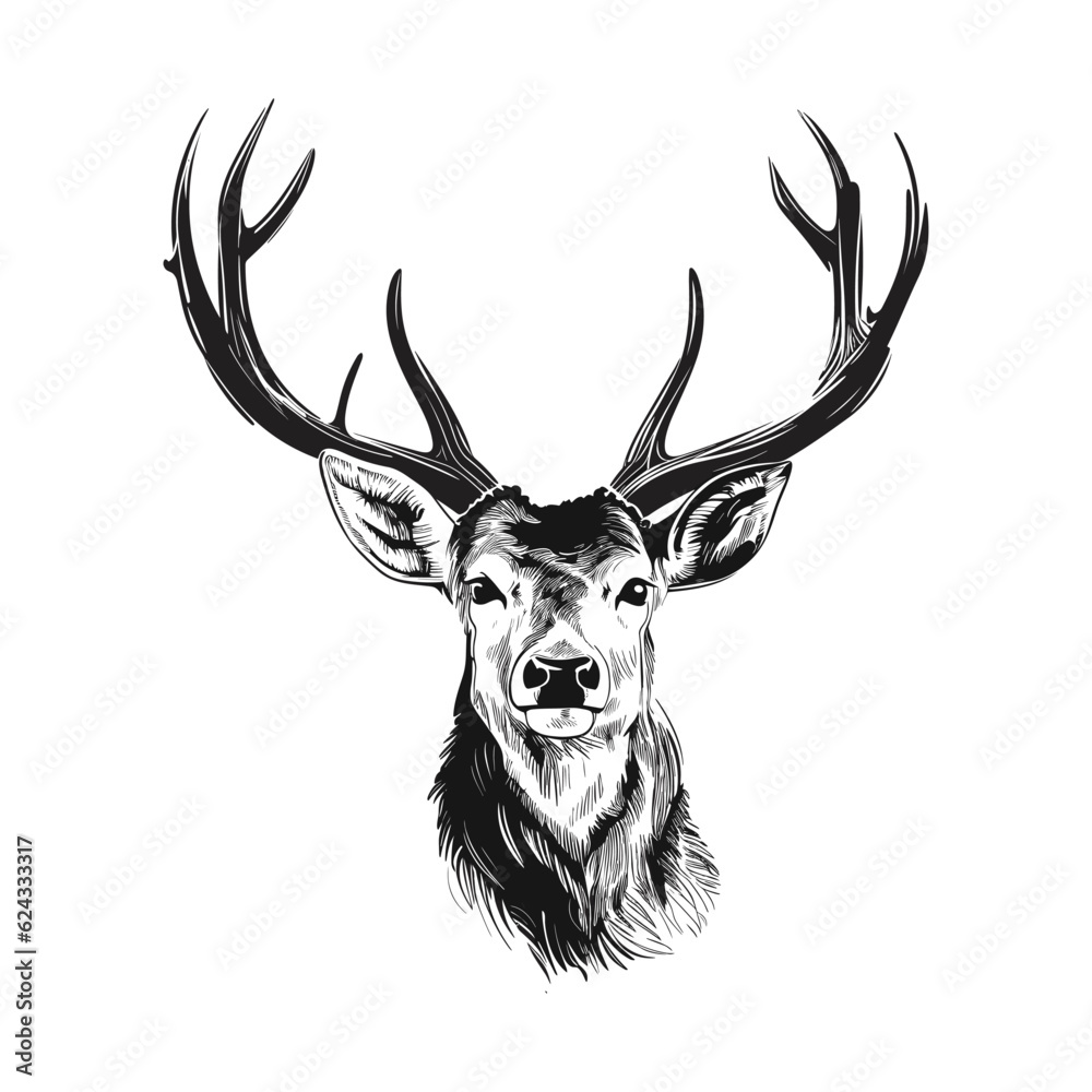 Hand drawn Deer sketch vector illustration Stock Vector | Adobe Stock