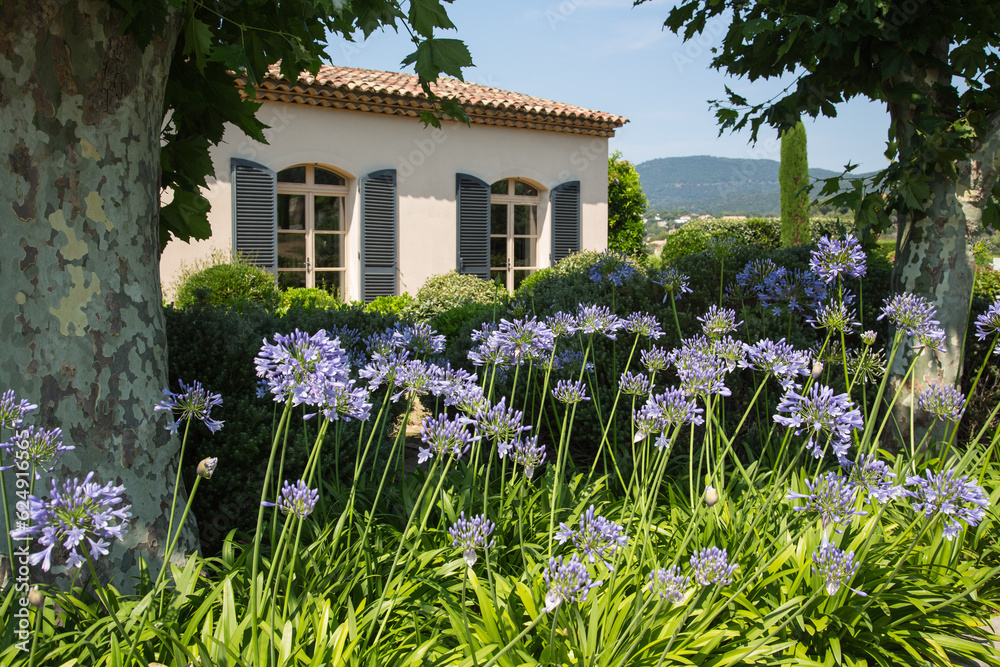Mediterranean garden design and landscaping, Provence, France ...