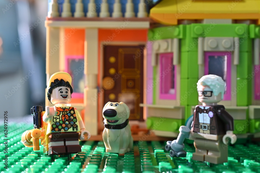 Lego casa up carl fredricksen, Russell y Dug, Disney 100 Aniversario ...