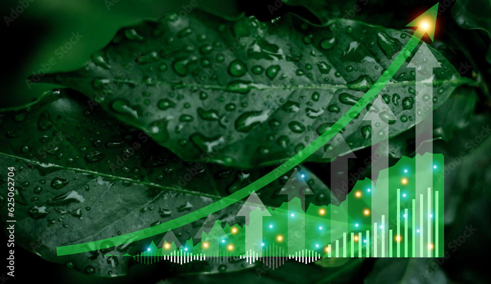 Net zero and carbon neutral concept.Net Zero text in bubbles with forest. for net zero ...