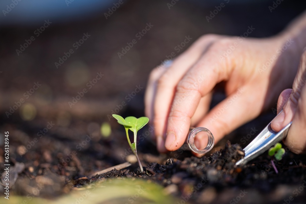 taking a soil sample for a soil test in a field. Testing carbon ...
