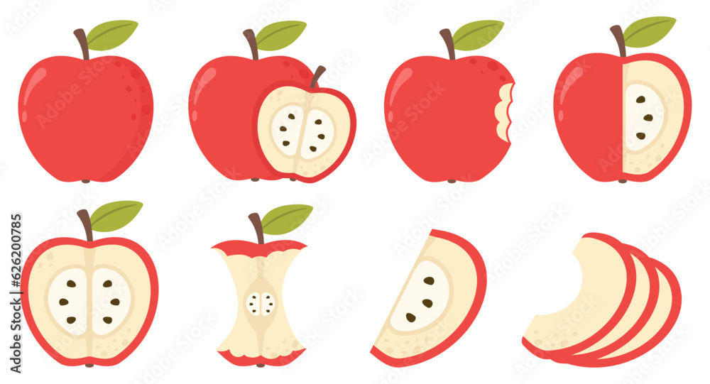 Apple collection.Whole, cut in half, sliced on pieces apple. Vector ...