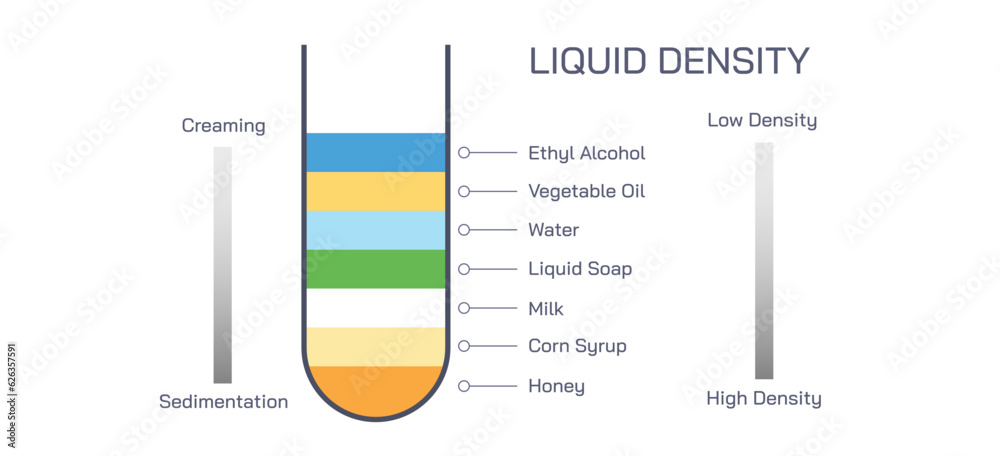 The Density of Liquids vector illustration. Creaming and sedimentation ...