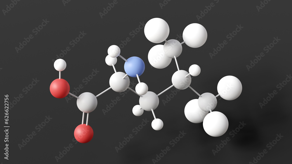 leucine molecule, molecular structure, essential amino acid, ball and ...