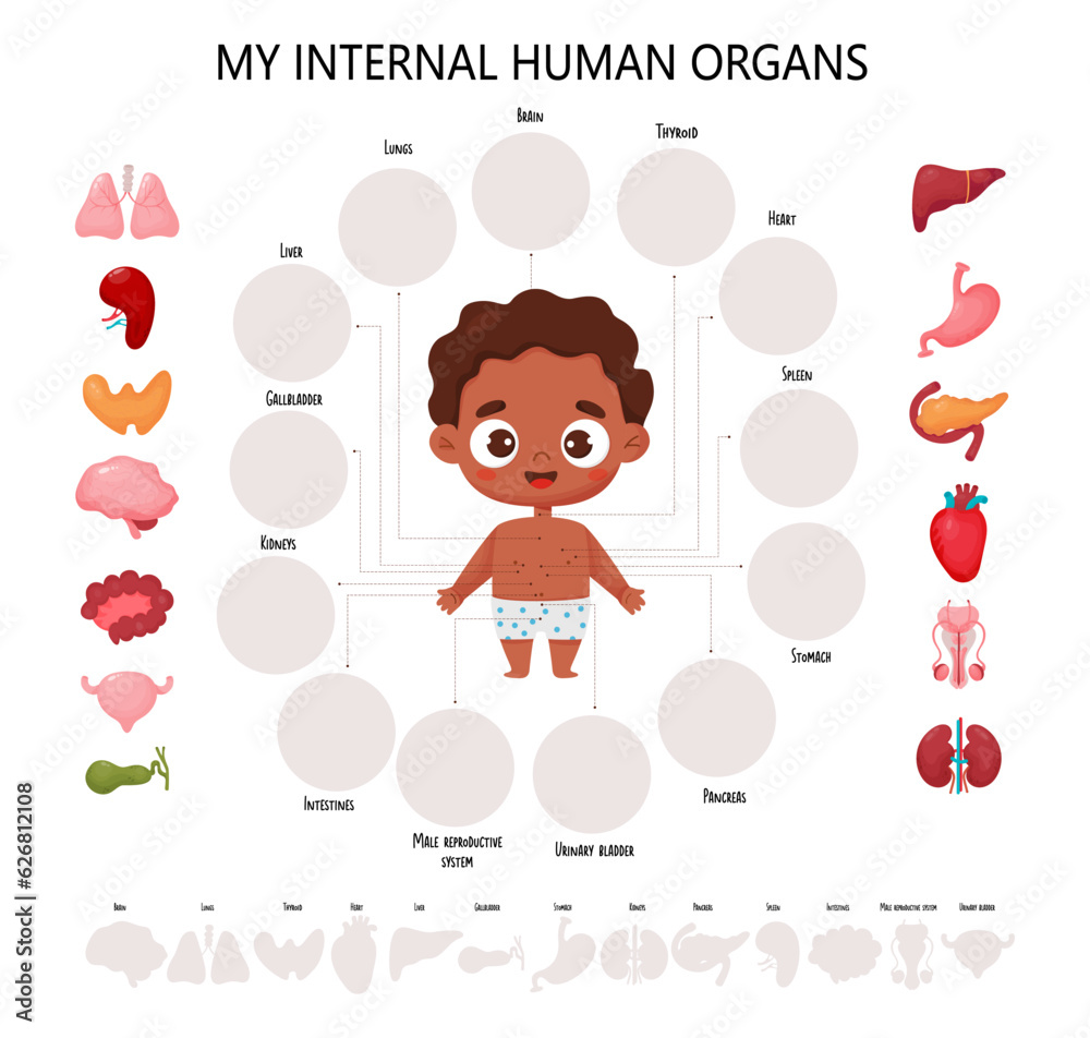 Anatomy human body. Educational infographics with cute black ethnic boy ...
