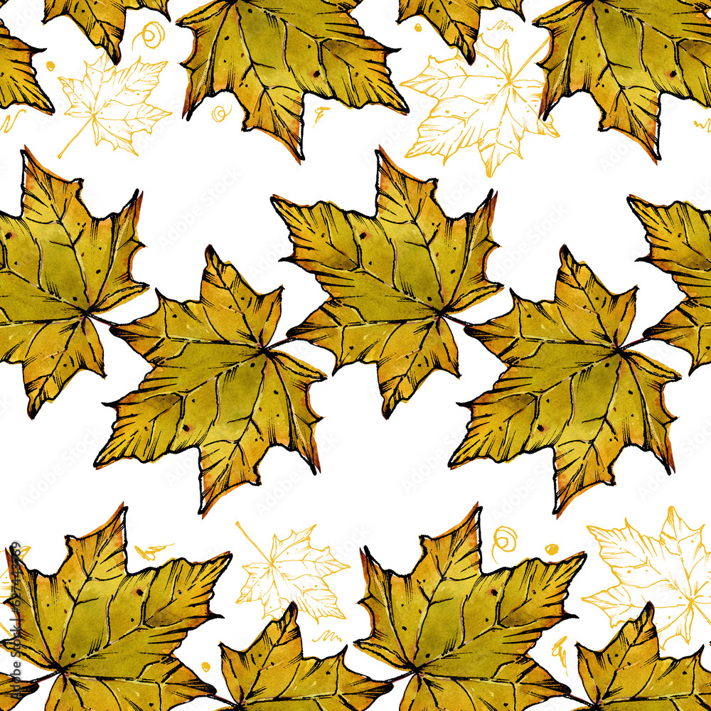 Maple leaf pattern. Fallen autumn leaf. Deciduous trees and shrubs ...