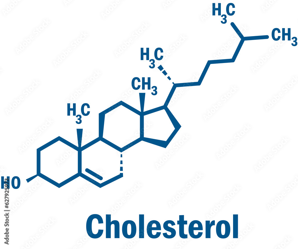 Cholesterol skeletal molecule formula. Chemical structure. Stock ...