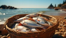 Fishing Basket Free Stock Photo - Public Domain Pictures