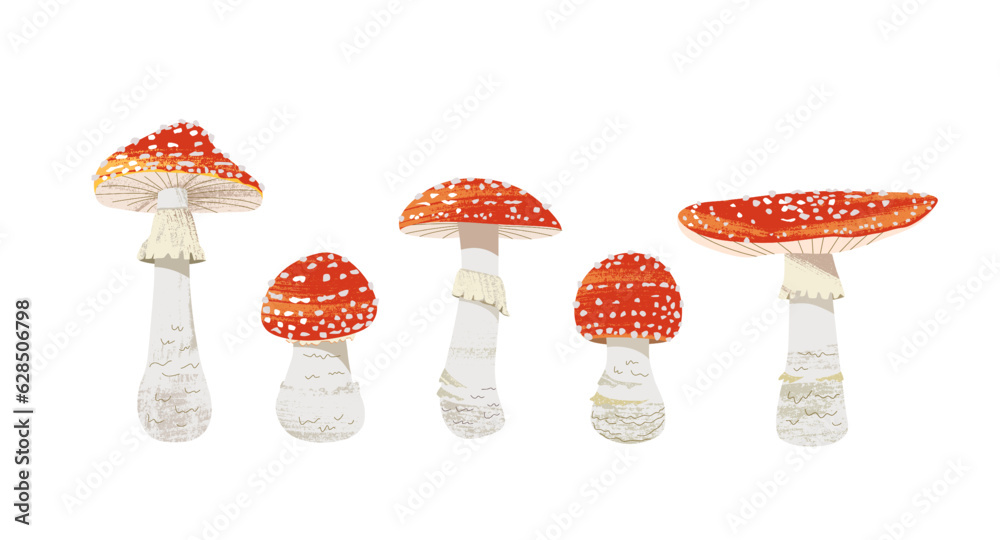 Set of inedible fly agarics of various shapes and sizes. Vector ...