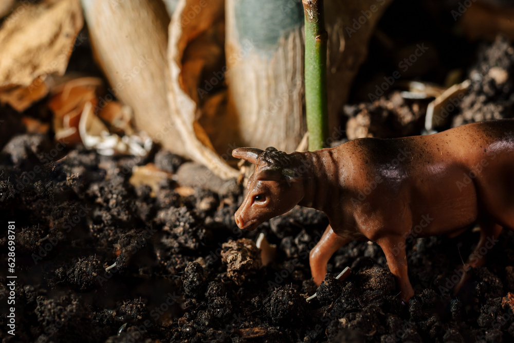 Foto de Stock animales miniatura, toros , vacas, pollos, chivos sobre ...