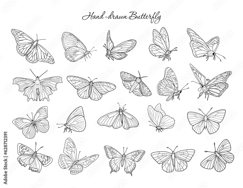 Line Drawing Butterfly Collection, Moth Doodle Set, Hand-drawn ...