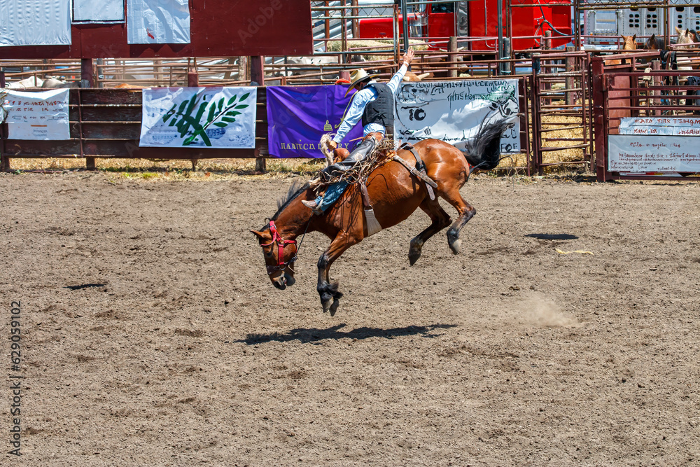 A cowboy is riding a bucking bronco at a rodeo in an arena. The horse ...